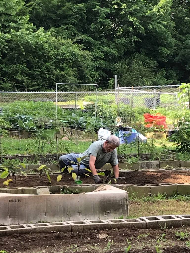 Wilson County Master Gardener Association | … of Wilson County, Tennessee